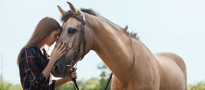 Die Pferd-Mensch-Beziehung richtig pflegen | Uelzener